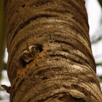 A Curious Curmudgeon – Blogs, Articles, Research, & Rants